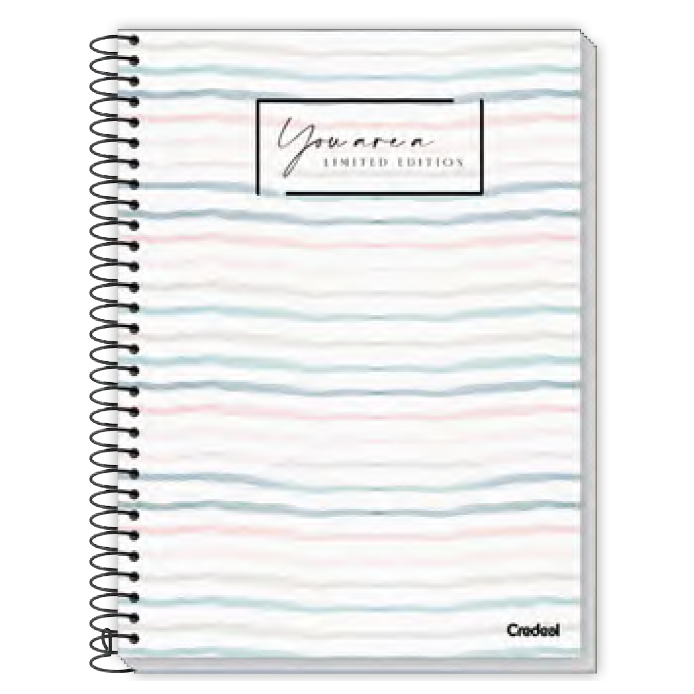 Libretas de divisiones